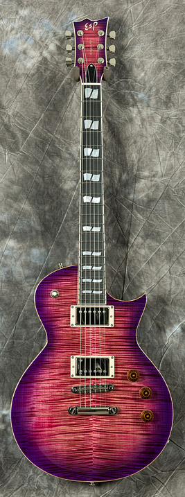 ESP USA Dealer Gallery - The ESP Guitar Company