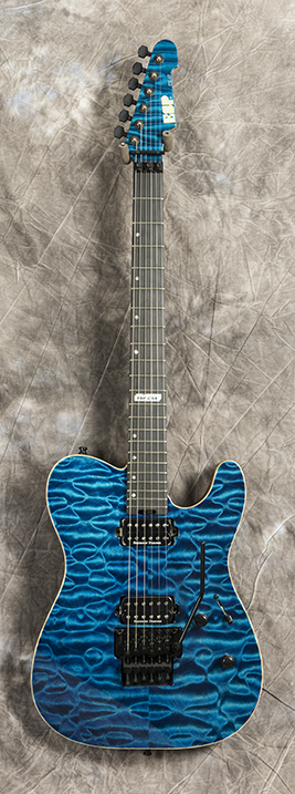 ESP USA Dealer Gallery - The ESP Guitar Company