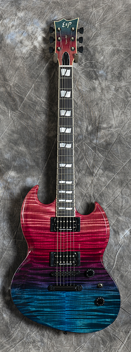 ESP USA Dealer Gallery - The ESP Guitar Company